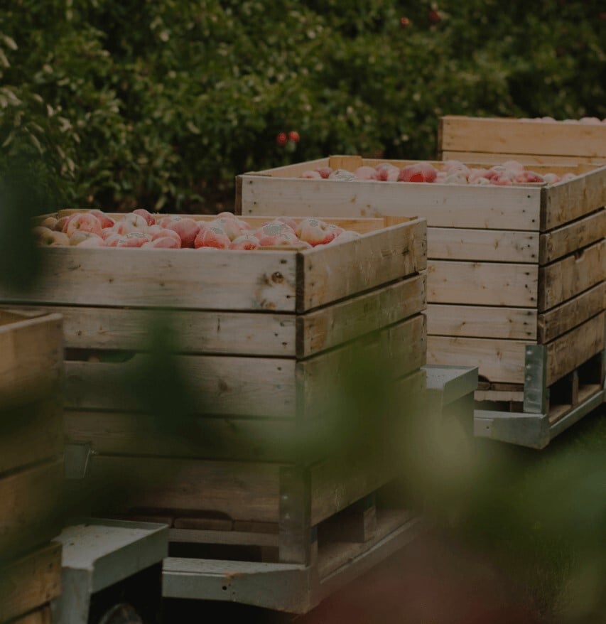 Software Solutions for your farm management | Radfords Software